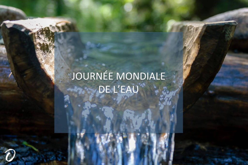 Journée mondiale de l'eau - Oleaster